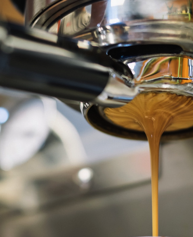 Coffee | Kudos Coffee – Kudos Living